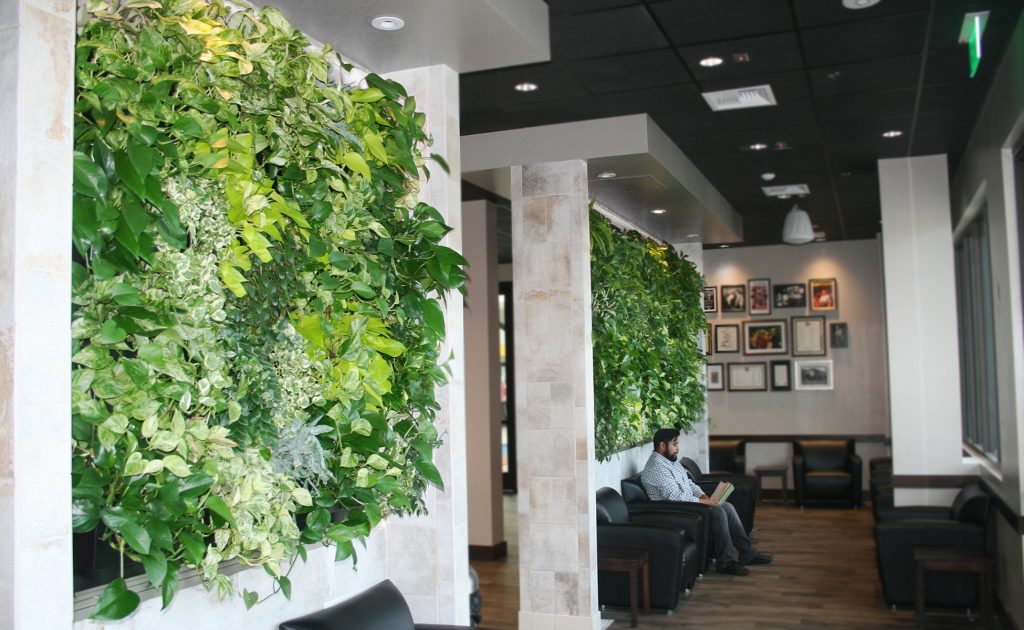 Tanaman rambat bisa jadi ornamen yang membuat rumah kamu tampak sangat ...