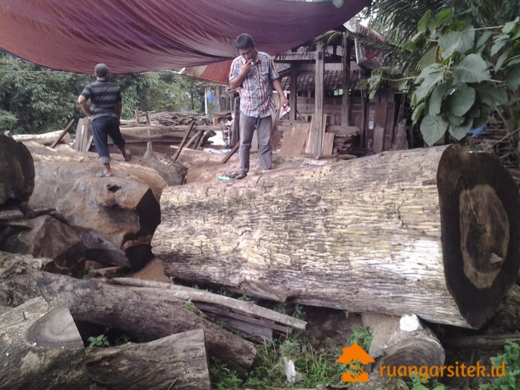 Kamu tentu sudah pernah melihat jenis jati ini. Jati rakyat kebanyakan ...